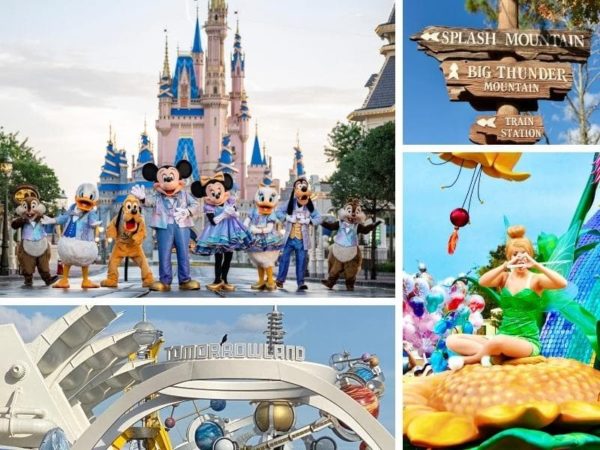 Walt Disney World Orlando - The Most Magical Place on Earth!